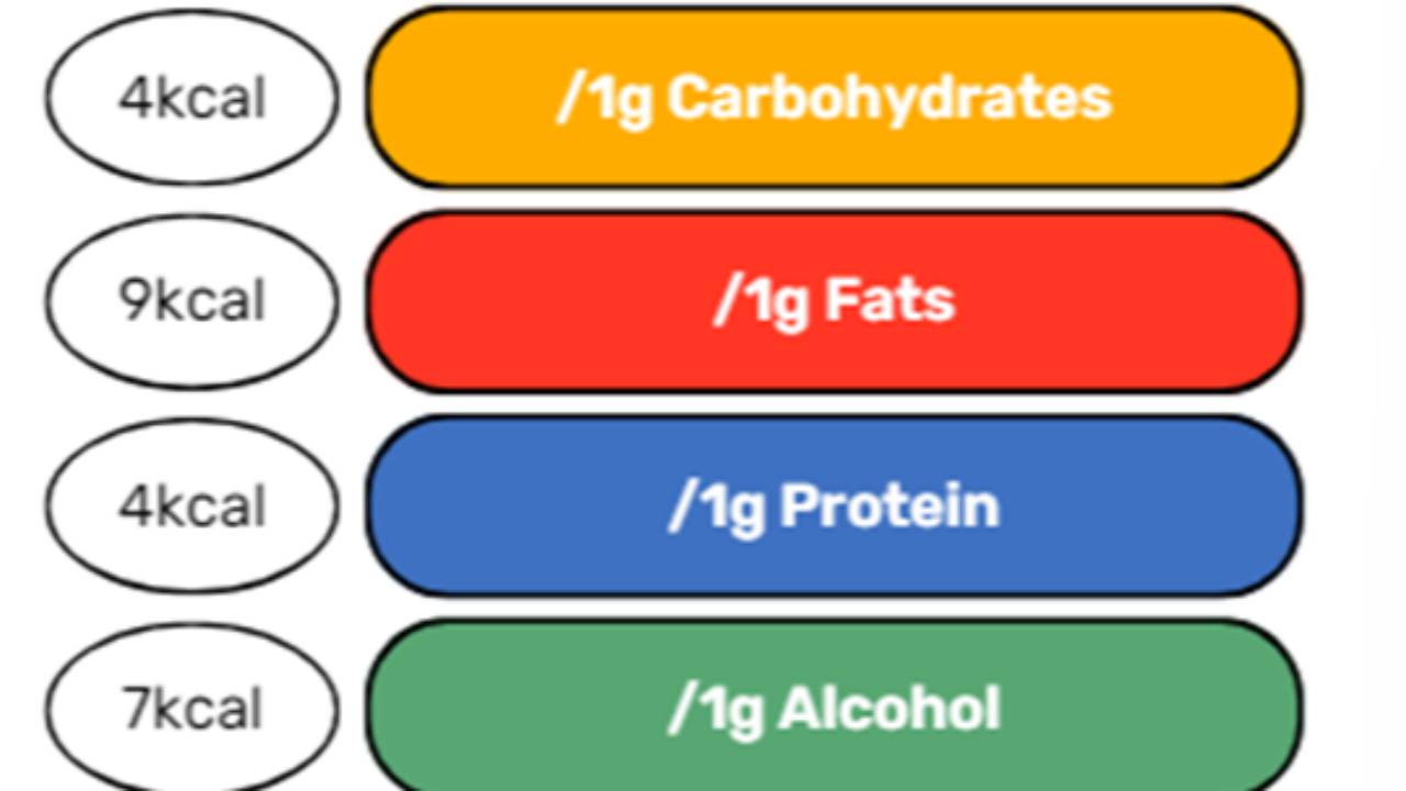 Tracking Calories and Controlling Portion Sizes