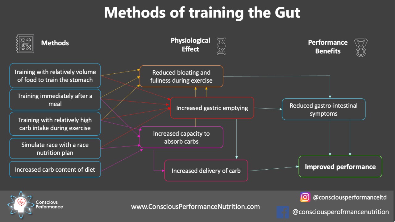 How Gut Health Impacts Endurance Athletes