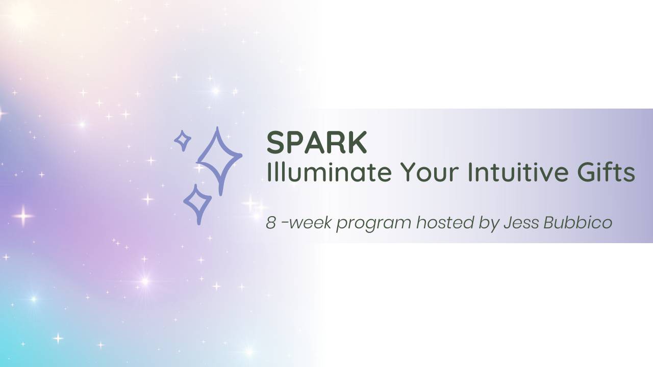 Spark Intuition Program