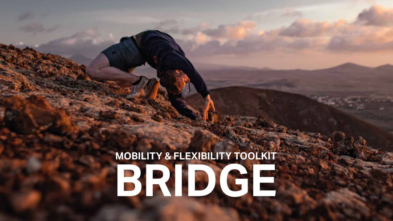 Bridge | Mobility & Flexibility Toolkit