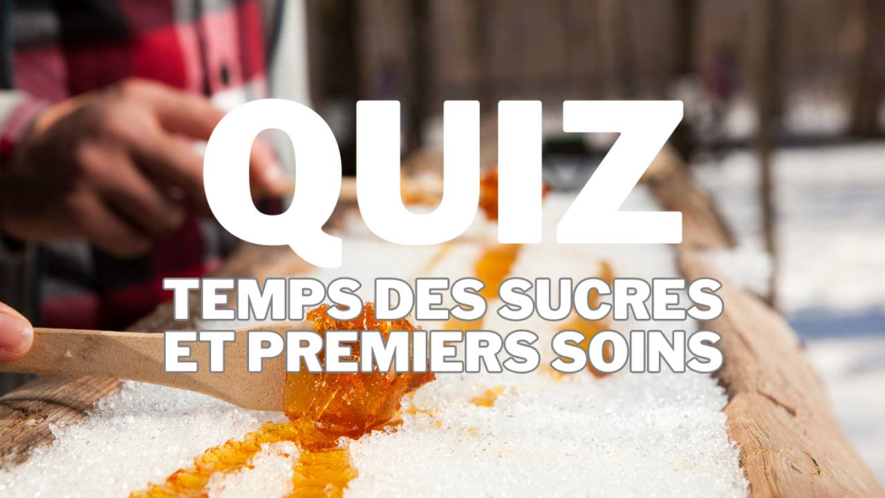 Temps des sucres et premiers soins