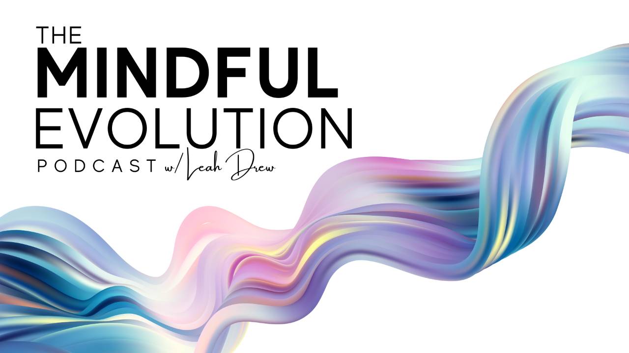 The Mindful Evolution Podcast