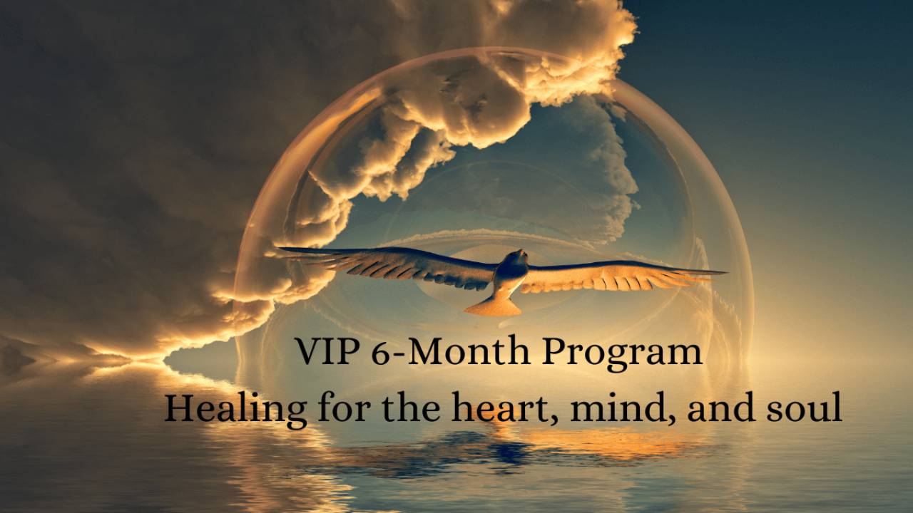 Vip Healing Program