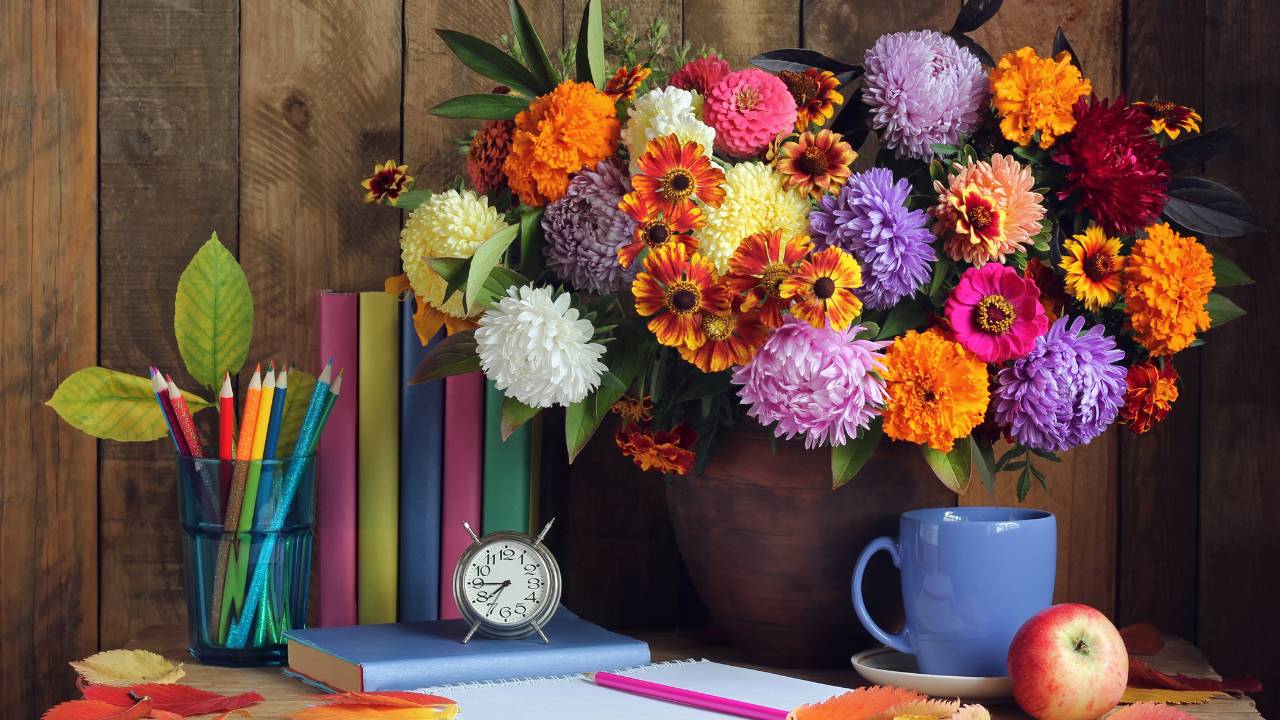 EYCDC September 2023 Newsletter