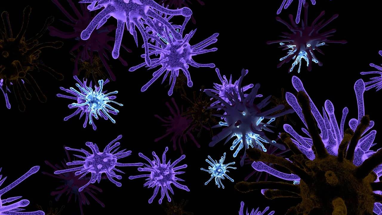 Are Germs Our Friends Or Enemies?