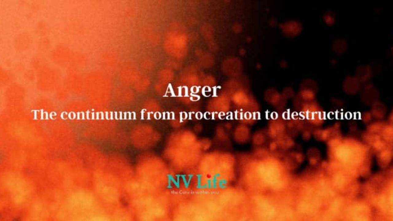 Anger – The Continuum from Procreative to Destructive Energy