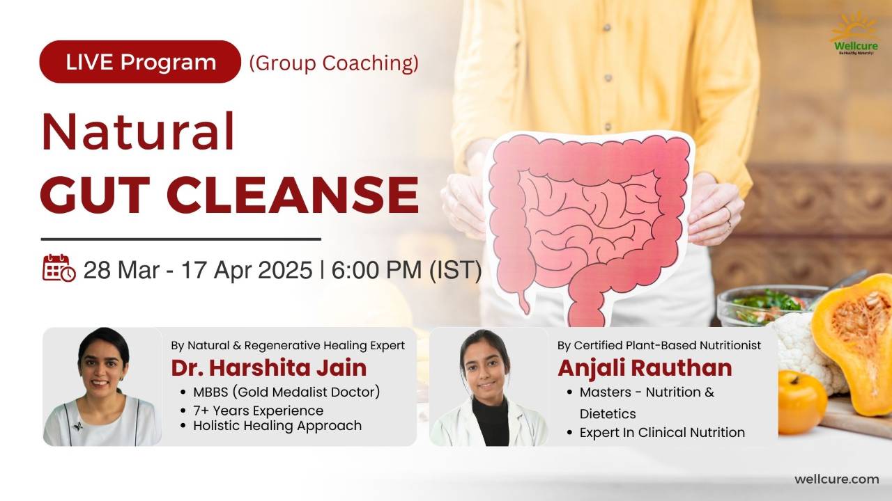 Natural Gut Cleanse Group Coaching Program