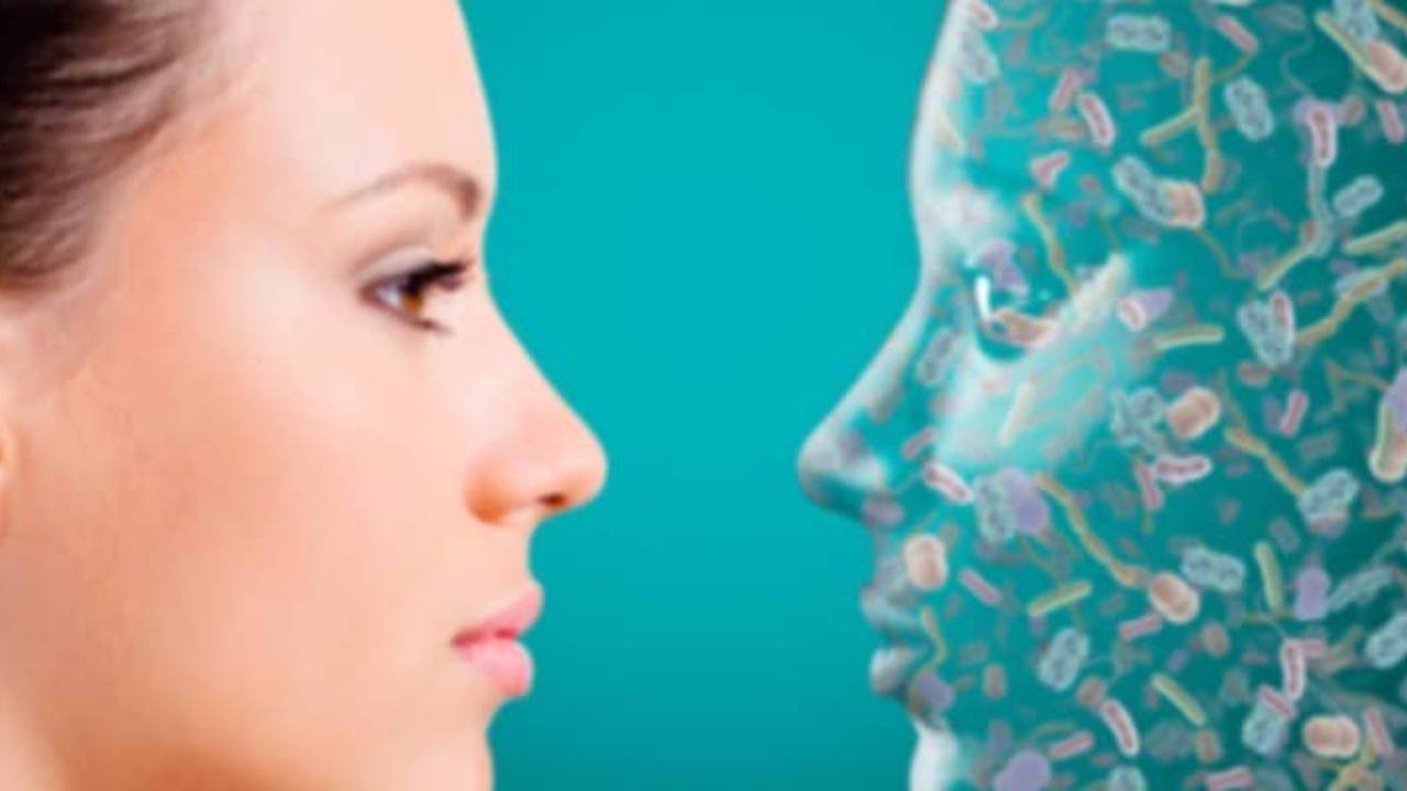 Guardians of the human body – Microbiome Part 1