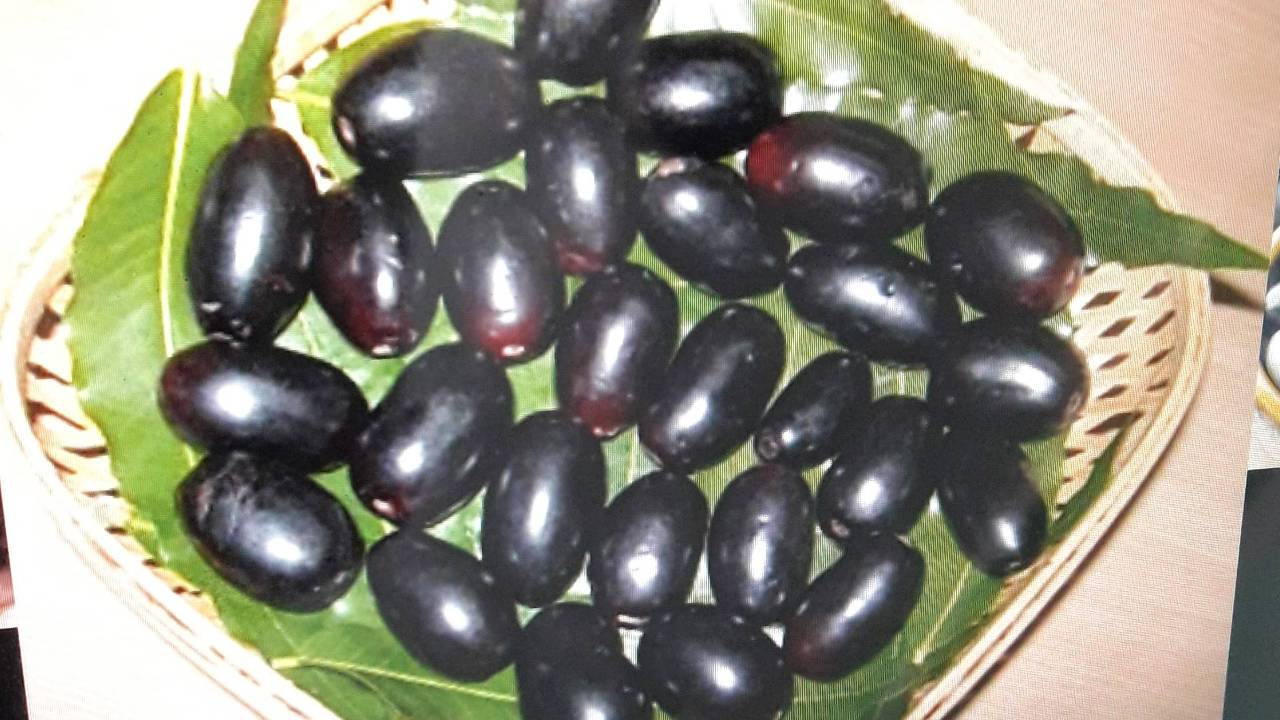 Java plum jam / jamun jam