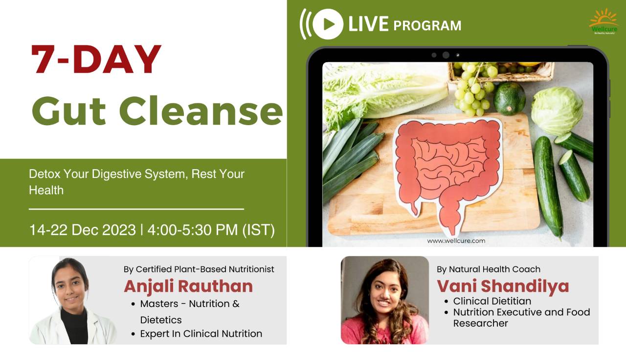 7-Day Gut Cleanse Live Program by Kashish Amit