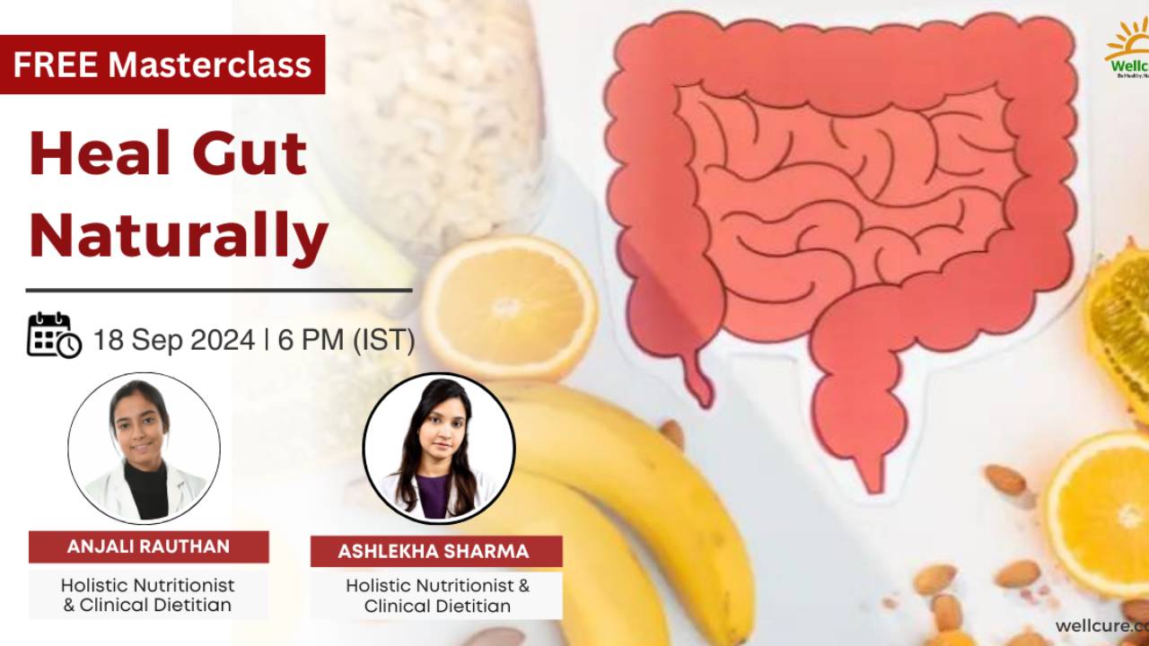 Heal Gut Naturally Free Masterclass