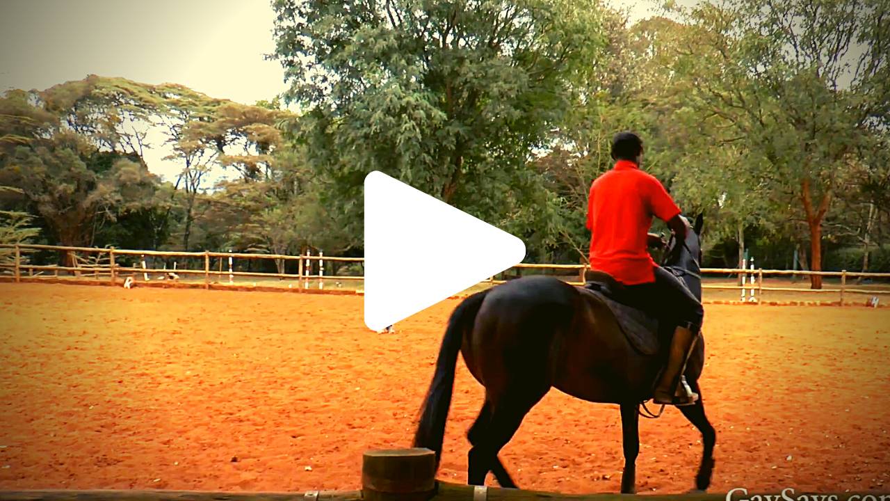WATCH: What Polo Riding Training Should You be Doing?