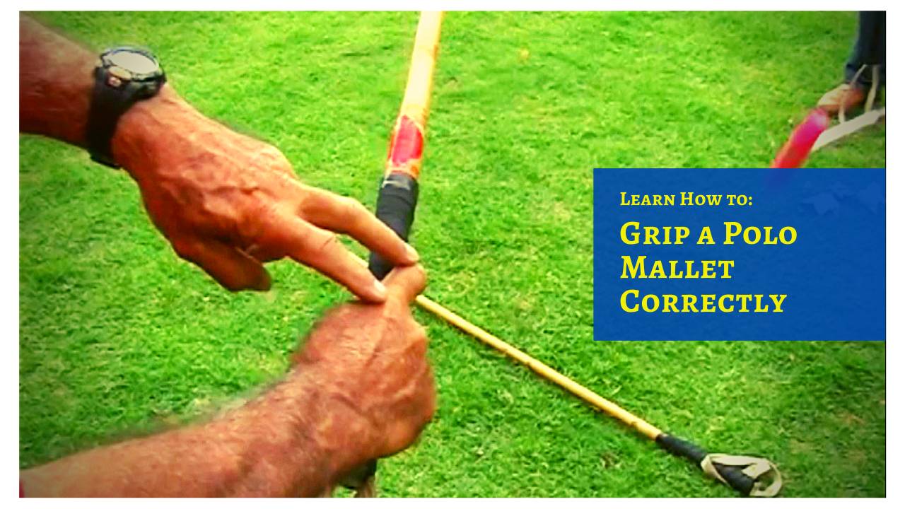 WATCH : The Most Important Polo Lesson to Start With