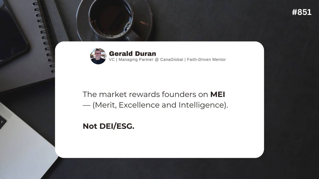 MEI (Merit, Excellence and Intelligence) vs. DEI/ESG