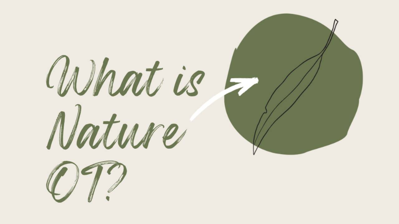 Definition of nature based occupational therapy