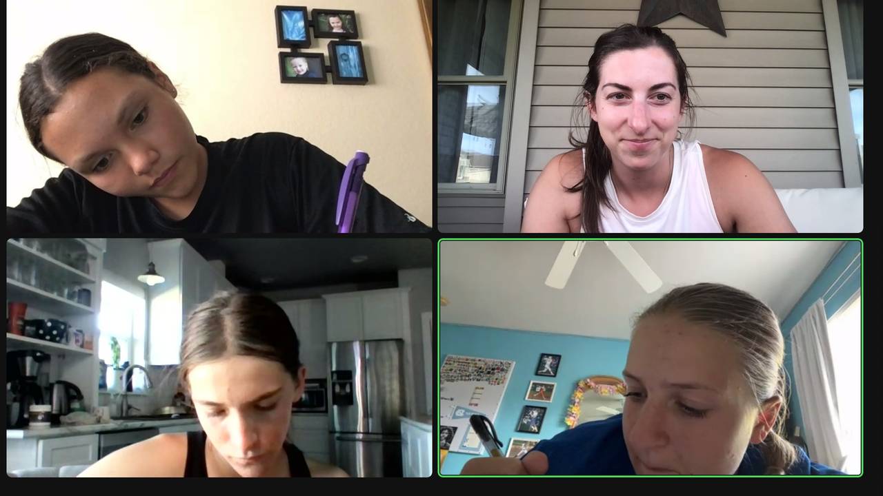 Virtual Coaching Opportunities