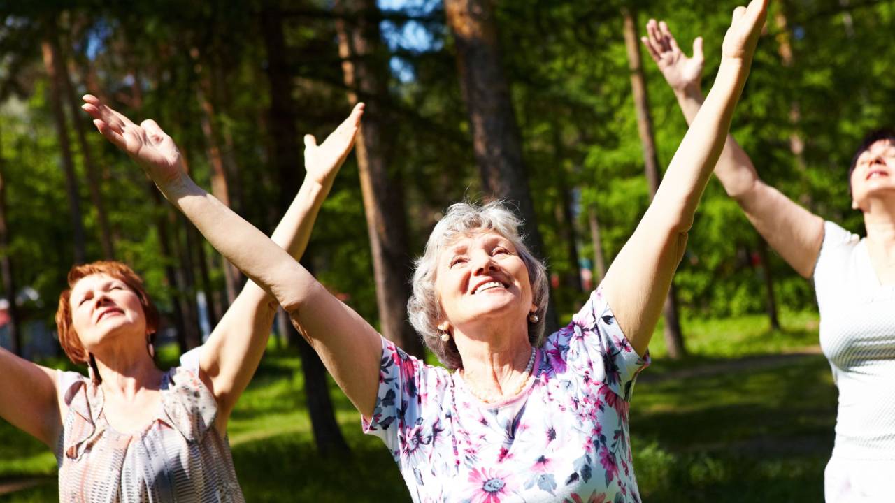 Perception and Aging