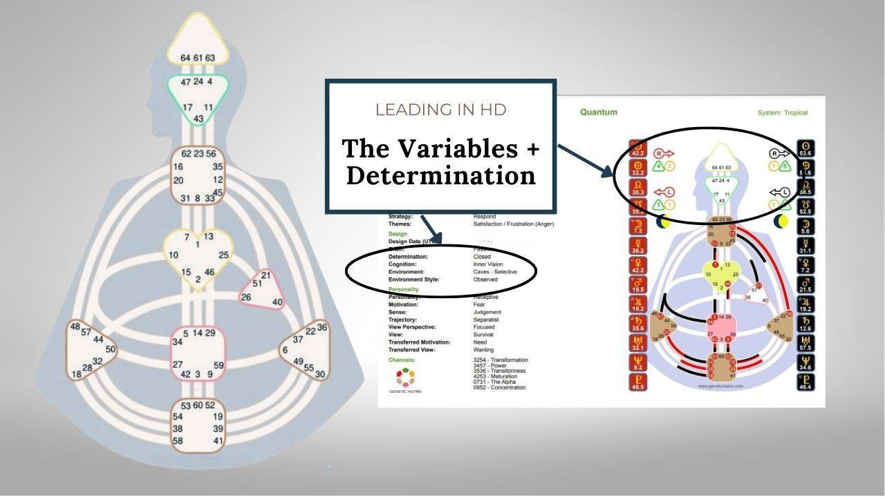 Nourishing Yourself: Understanding Your HD Determination