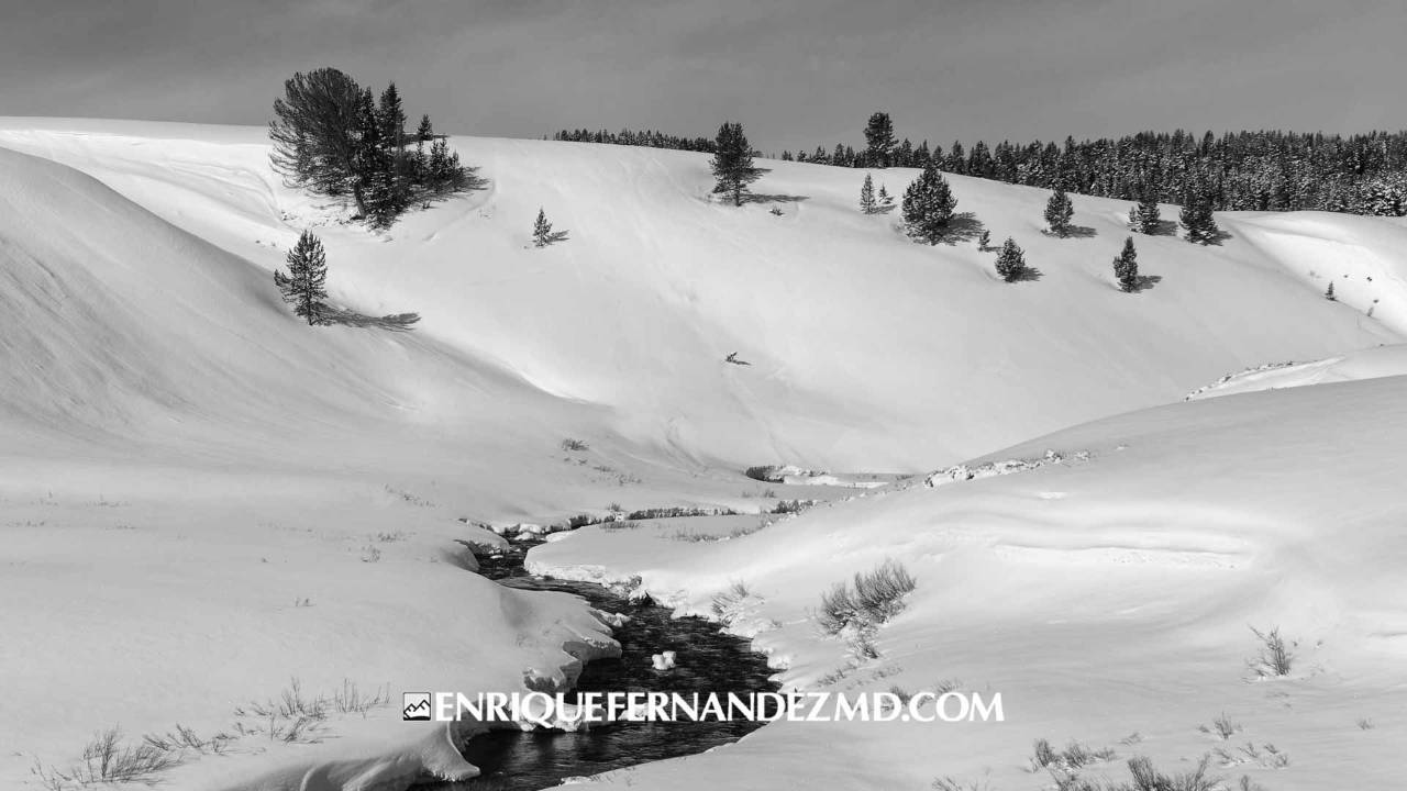 Navigating Your Professional Legacy: The Art of Transitioning