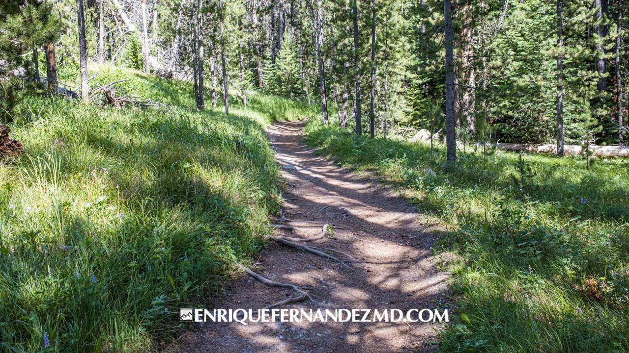 Your Career Transition: Process, Phases and Purpose