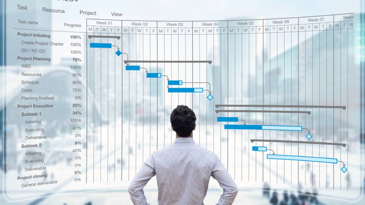 ProCourses - Primavera P6 Training Course for Project Management