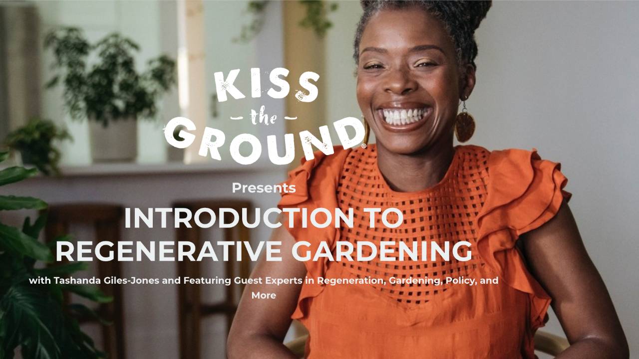 Introduction to Regenerative Gardening
