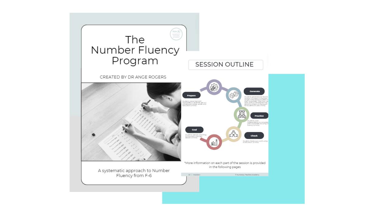 The Number Fluency Program