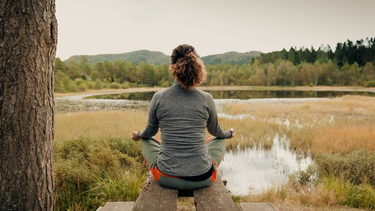 Hvorfor mediterer jeg?