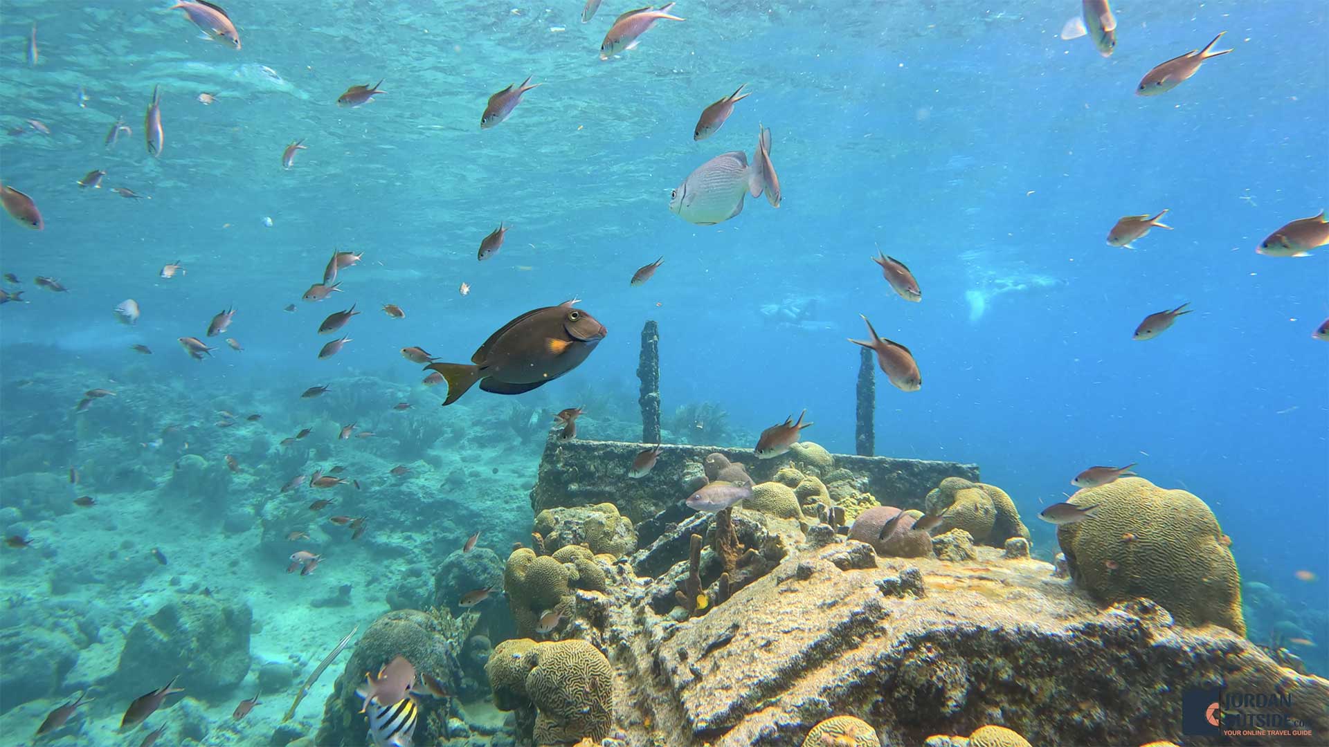 Tugboat Beach Curacao The Best Snorkeling In Southwest Curacao Tugboat Beach Curacao The Best Snorkeling In Southwest Curacao