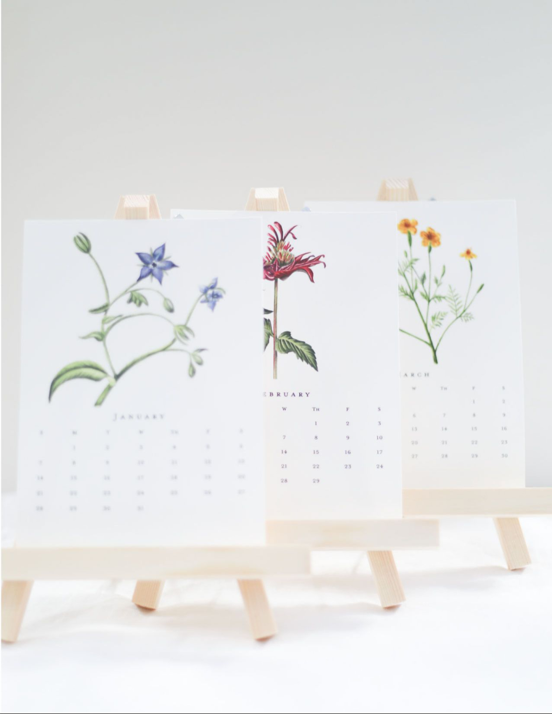 Botanical Arts Education