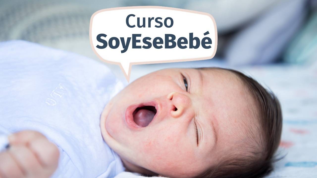 Soy Mamá Empoderada: Curso SoyEseBebé + Lactancia Materna Exitosa