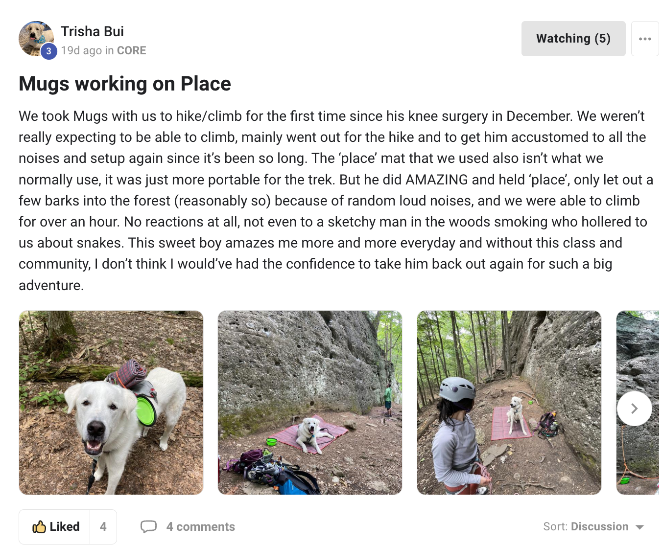 Hamilton Dog Training On-Leash & Off-Leash Obedience | Bellevue, WA