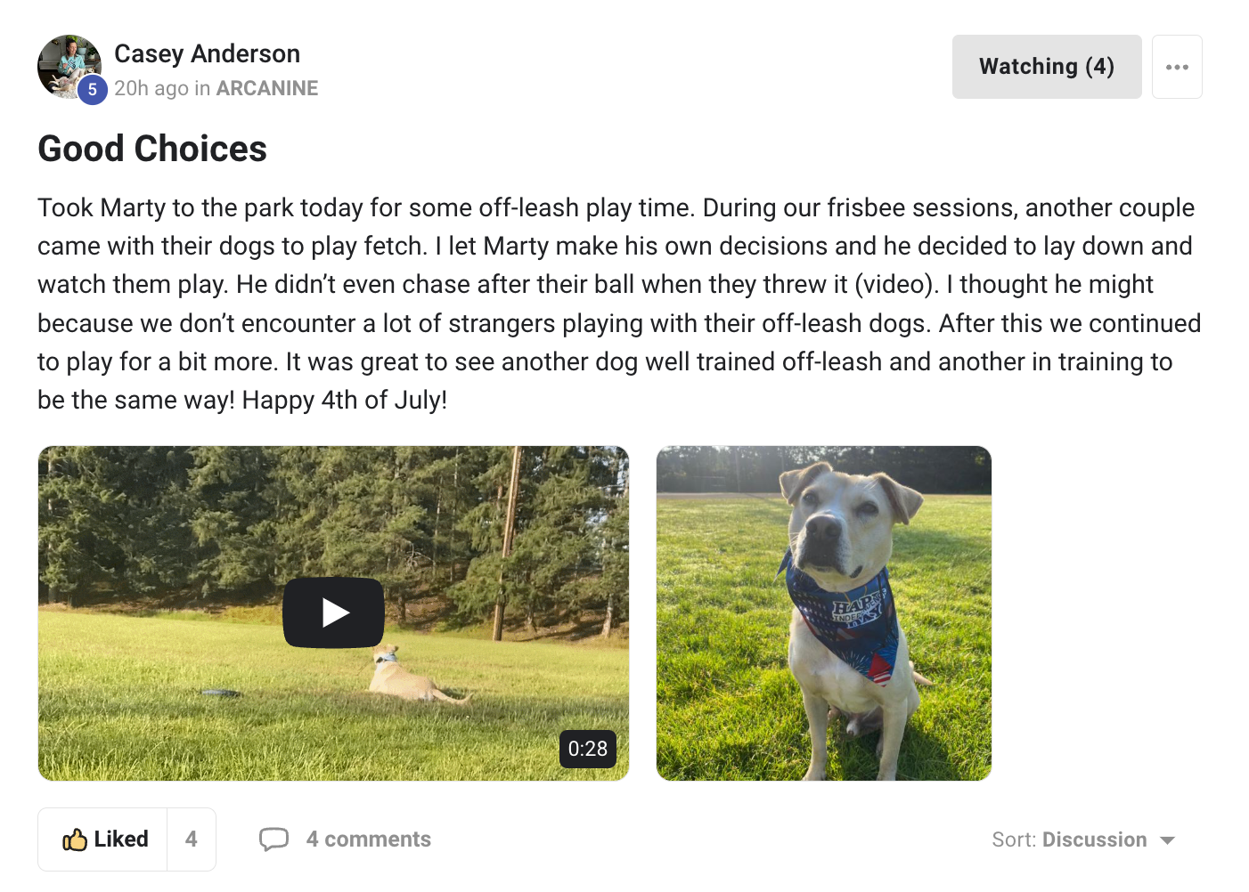 Hamilton Dog Training On-Leash & Off-Leash Obedience | Bellevue, WA