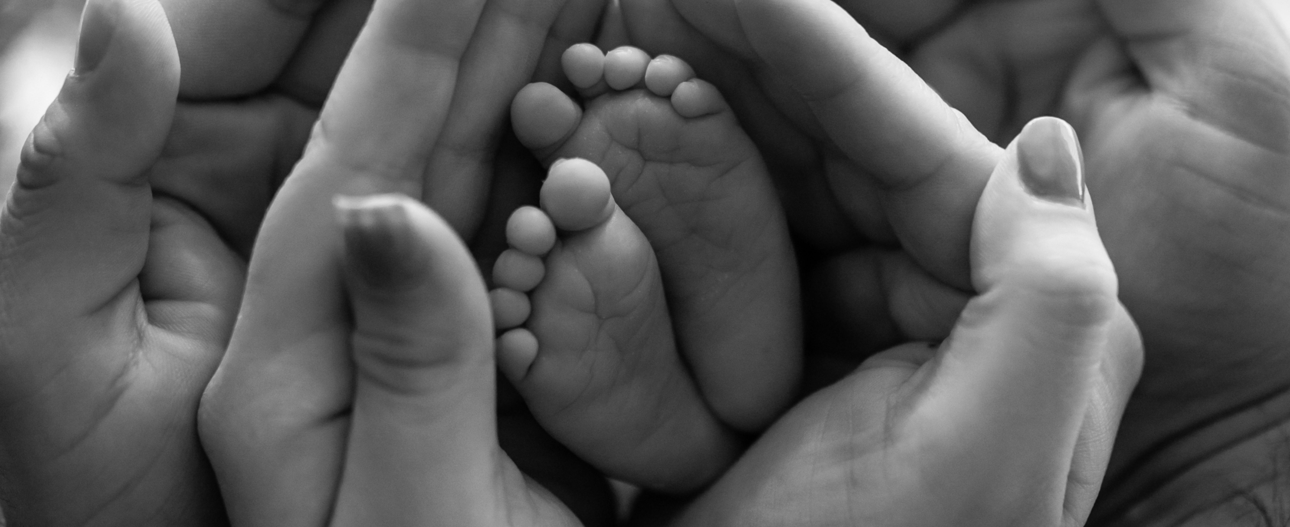 Schedule a Pain Care Audit | Alissa Wolfe