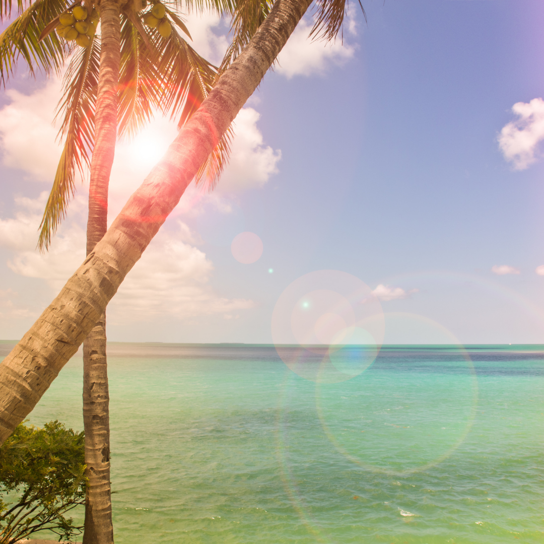 Kate Whitfield I Hypno-Manifestation & Mindset Coach