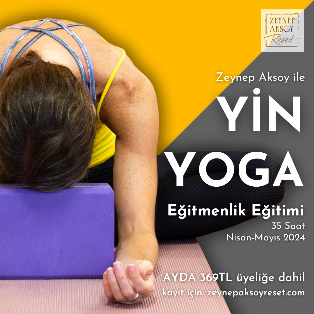 zeynep ile uzmanlık programları