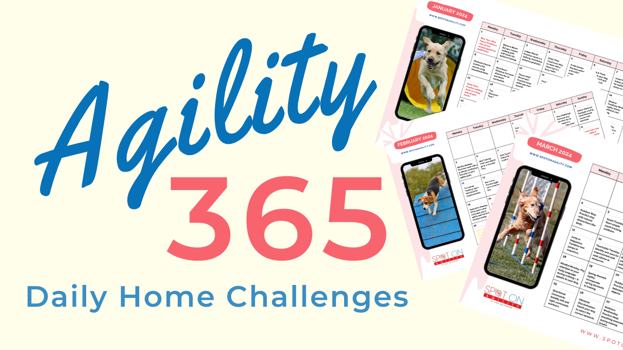 Home Page [www.spotonagility.com]