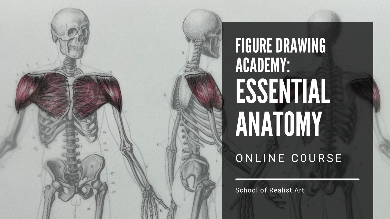 School of Realist Art: Drawing & Painting Classes