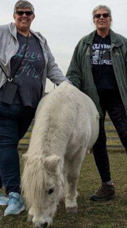 WISE Equine Assisted Life Coaching Certification