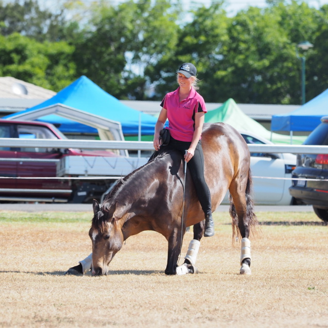 Equus Empeiria
