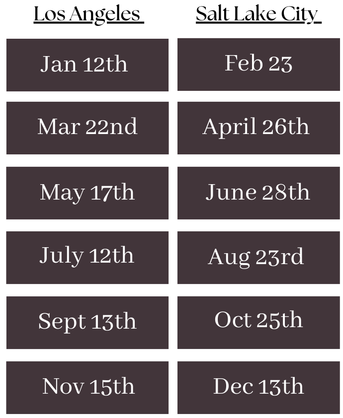 Piercing Trainings | Sugar Studios Beauty & Body Art