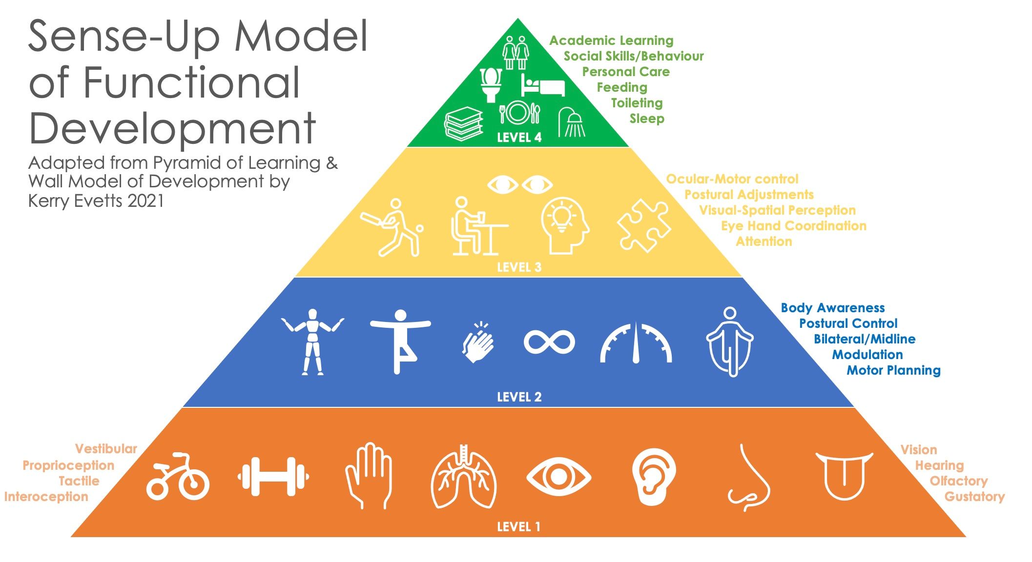 SenseUp Upskilling In All Things Sensory for occupational therapists