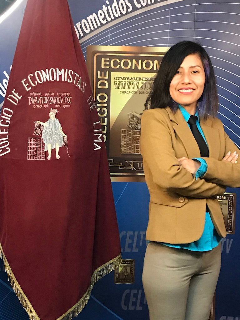 Comité Especializado de Proyectos de Inversión Pública – CEPICEL