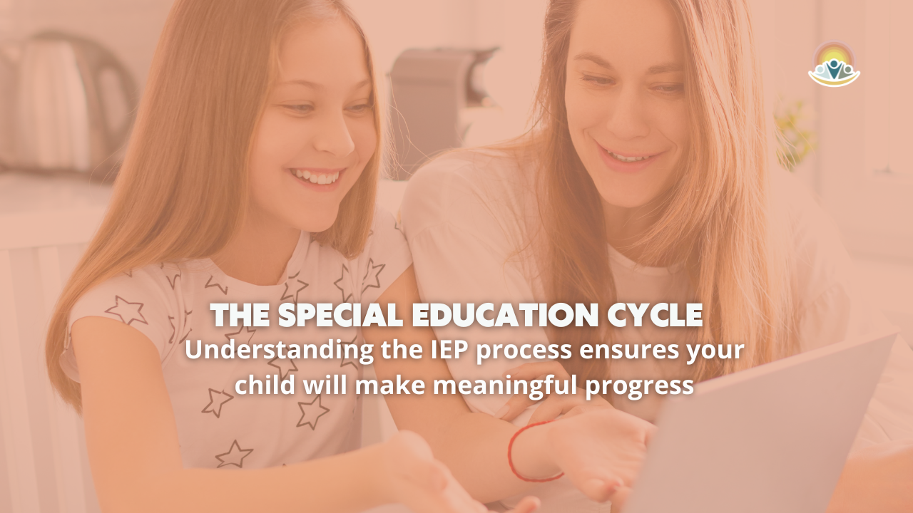 Online IEP Support & Training | Rise Educational Advocacy