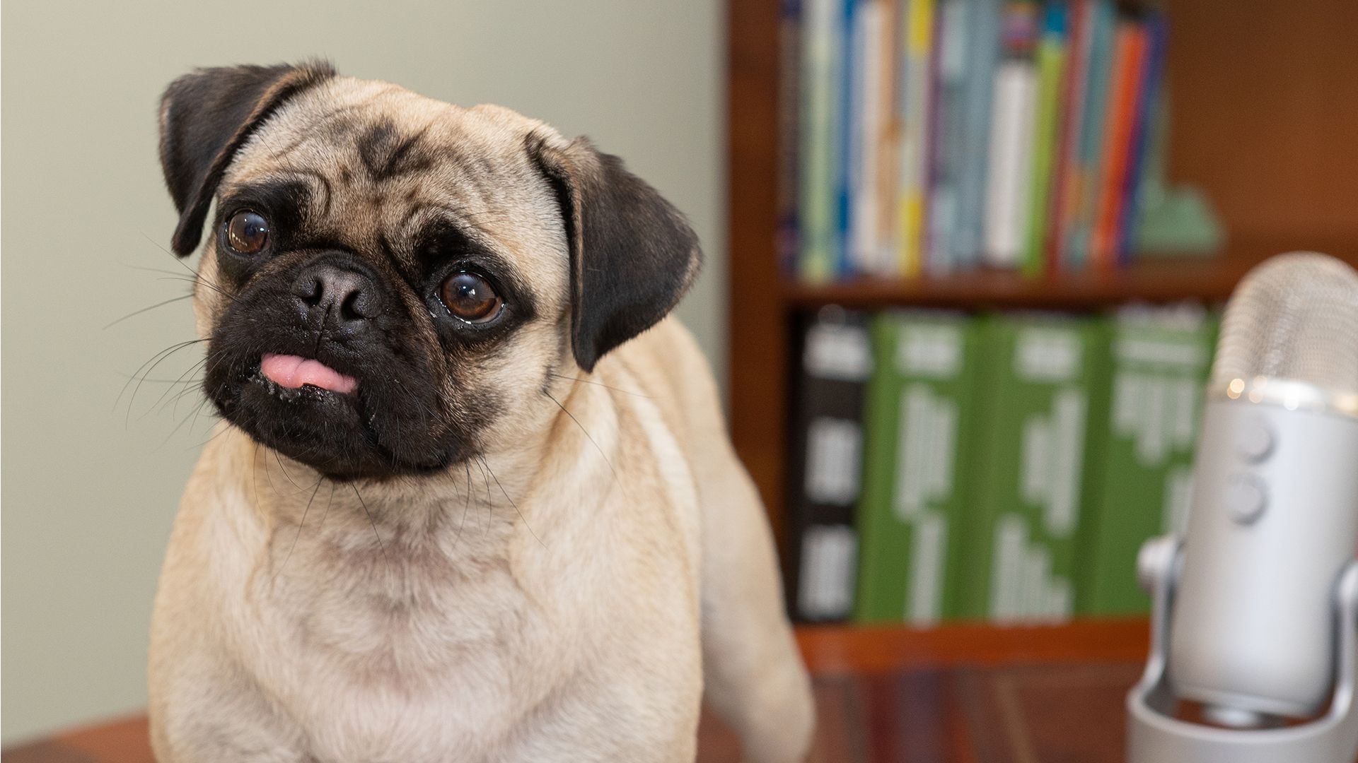 About April Rehrig's IEP Consultation & Training