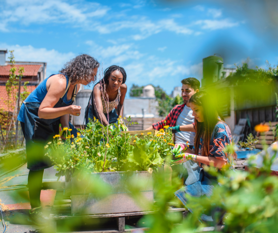 Transformational Life Consulting