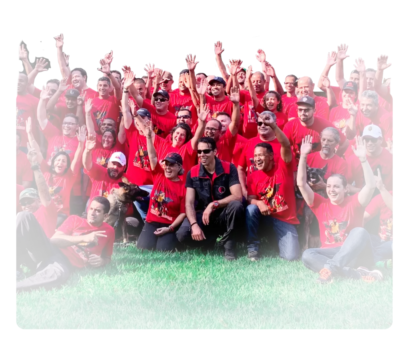 STSK9 Master View Path Dog Training Certification Program