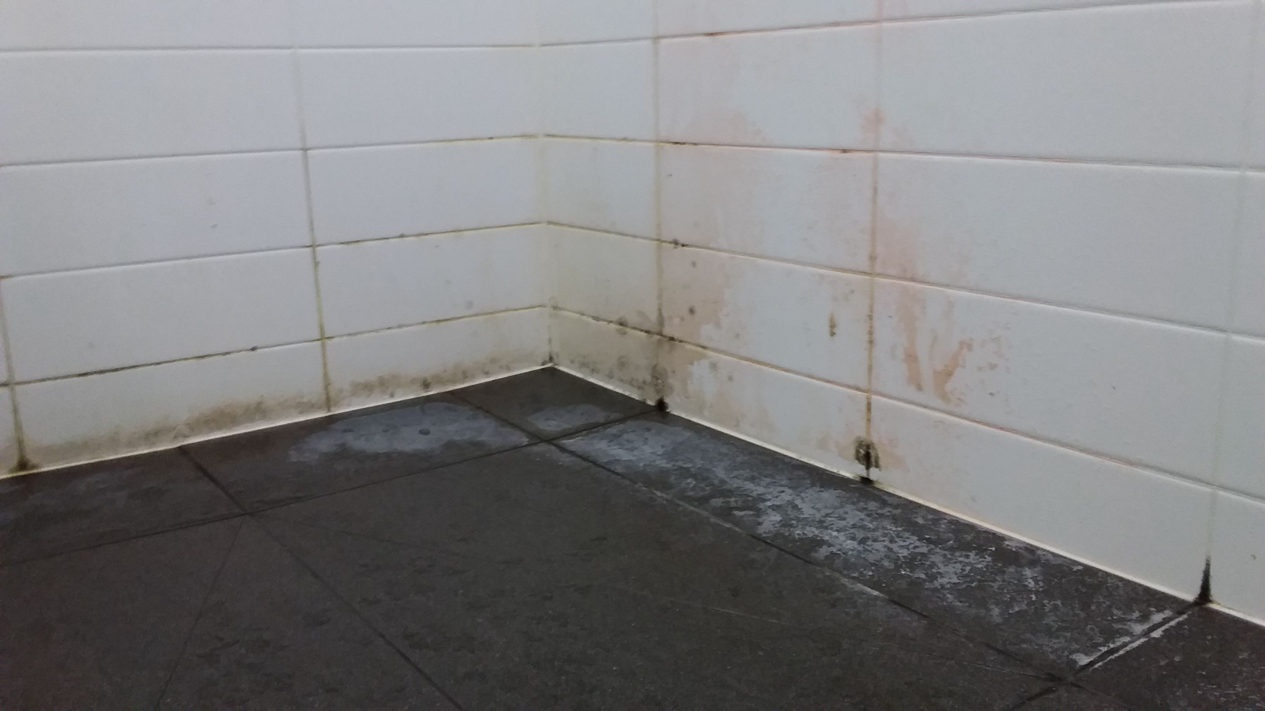 Waterproofing Training: Waterproof to the NCC & Australian Standards