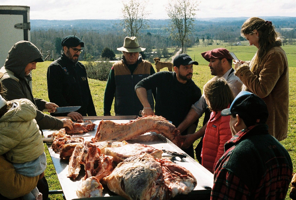 Maestro charcutero - Programa de charcuteria