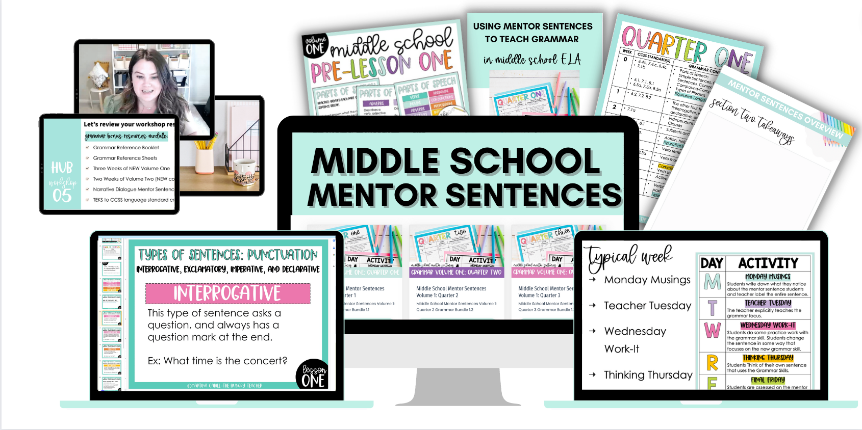 Mentor Sentences